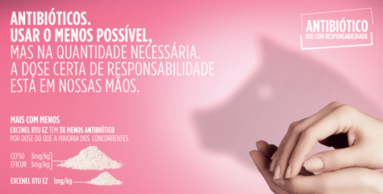 Excenel: Combate a erisipela suína e outras doenças - Zoetis | Zoetis BR