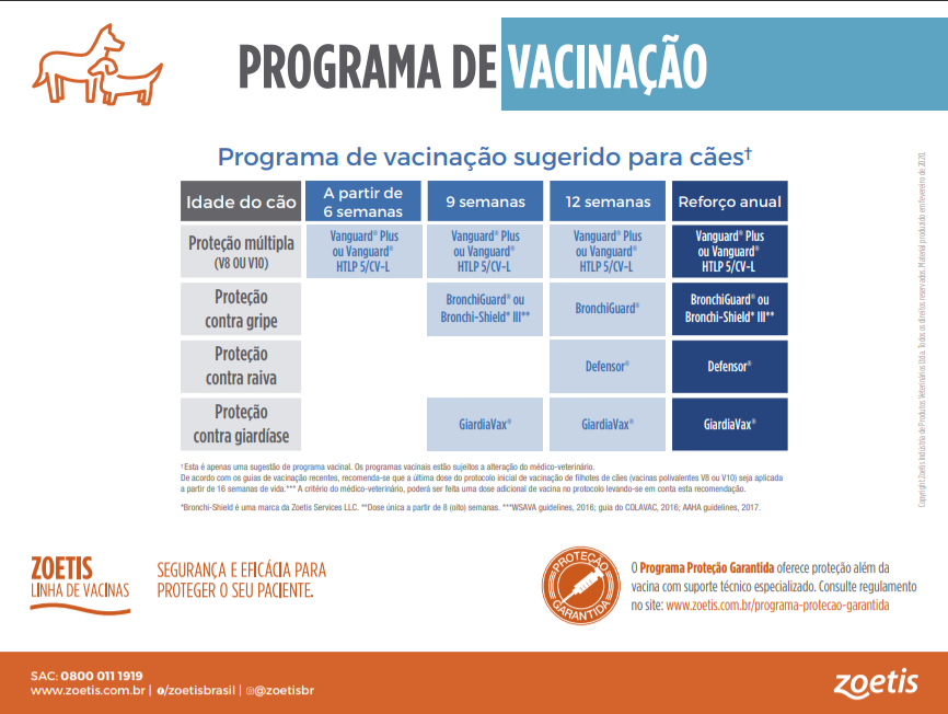 Conteúdo de imunologia animal | Zoetis BR